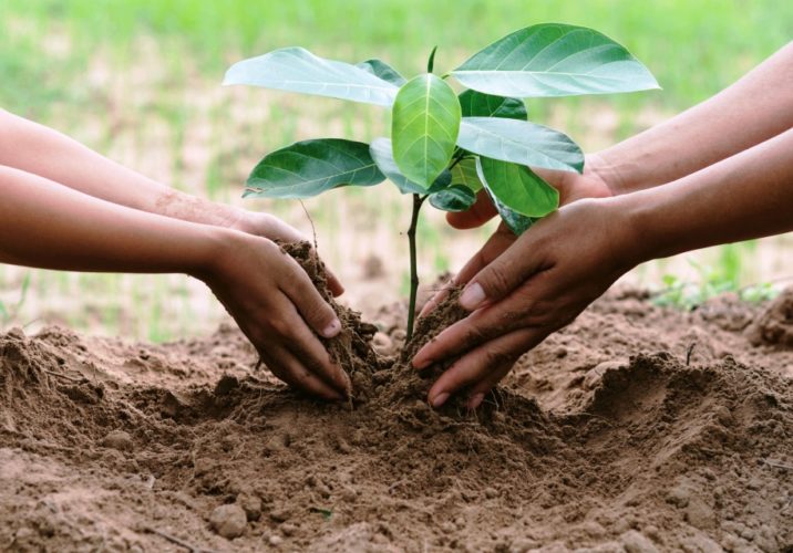 Tourism Fund - Tourism Fund